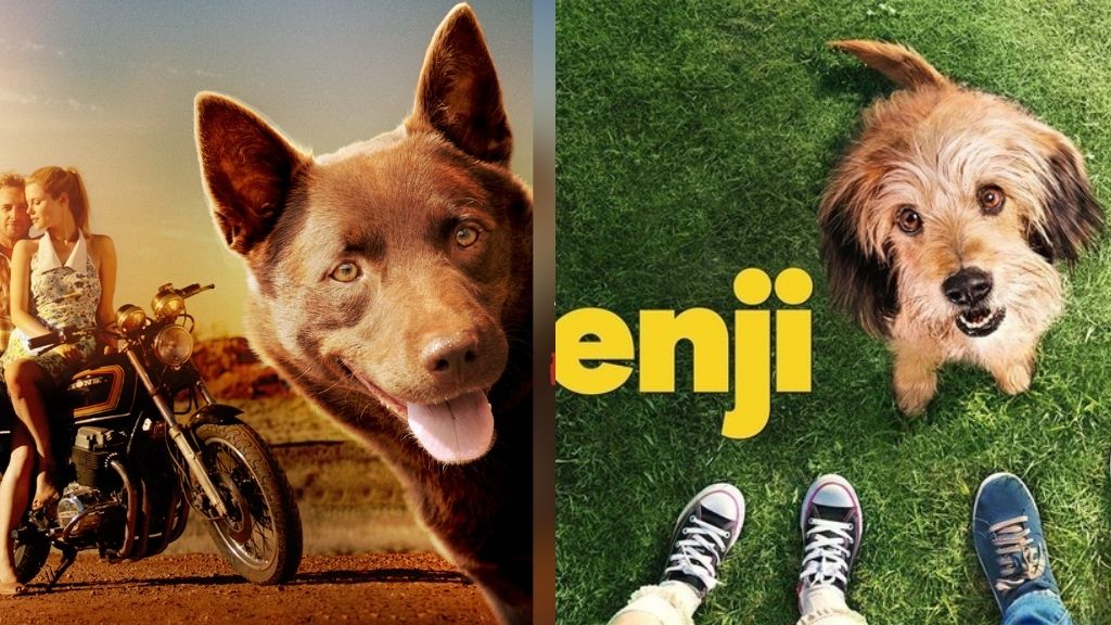 20 Best Dog Movies You Can Watch On Netflix, Amazon Prime, & Hotstar
