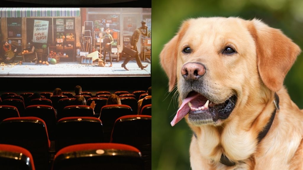 20 Best Dog Movies You Can Watch On Netflix, Amazon Prime, & Hotstar