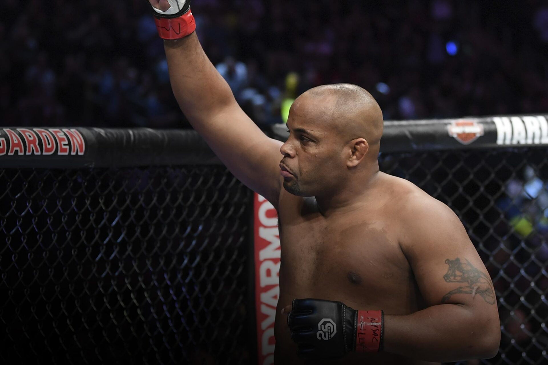 Top 20 Highest-Paid UFC Fighters in 2023 and Their Net Worth