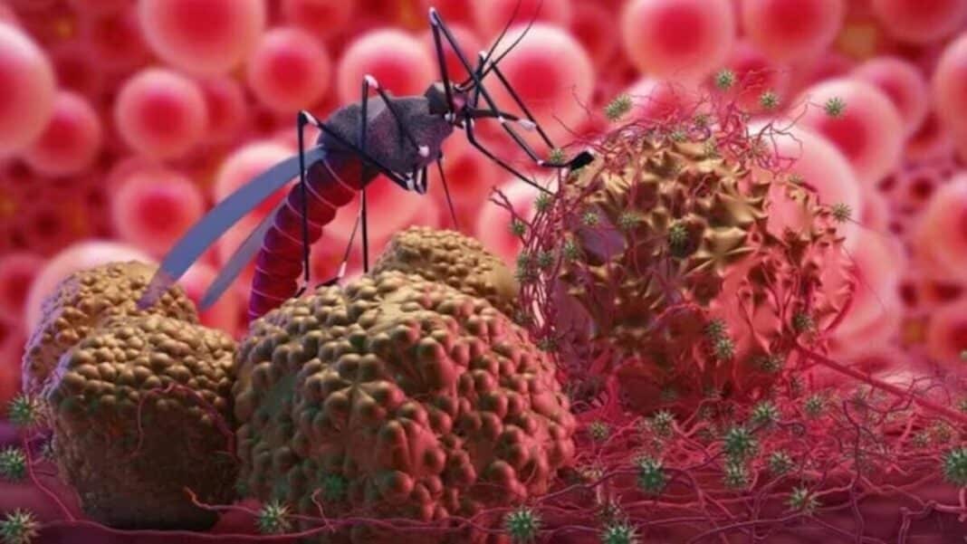 7 Best Ways To Protect Yourself From Dengue