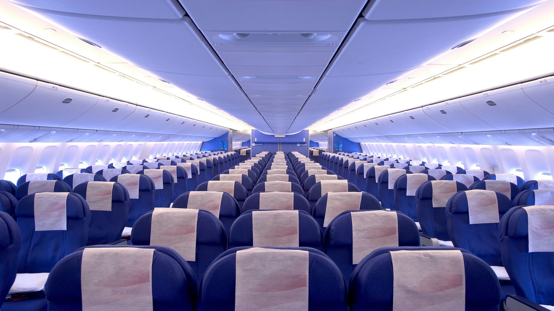 Traveling First Time In A Flight? Checkout The Difference Between ...